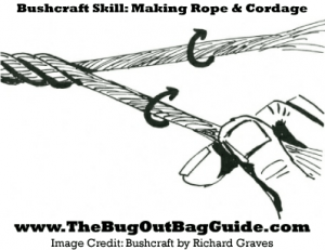 What Is Bushcraft? Bushcraft Skills, Tools, & How To Learn